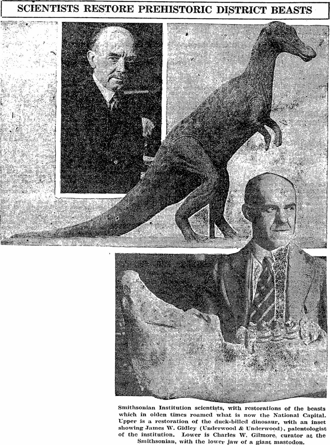 Unearthing the Mysterious Origins of D.C.'s Official Dinosaur ...