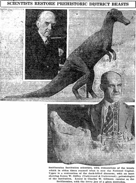 Unearthing the Mysterious Origins of D.C.'s Official Dinosaur ...