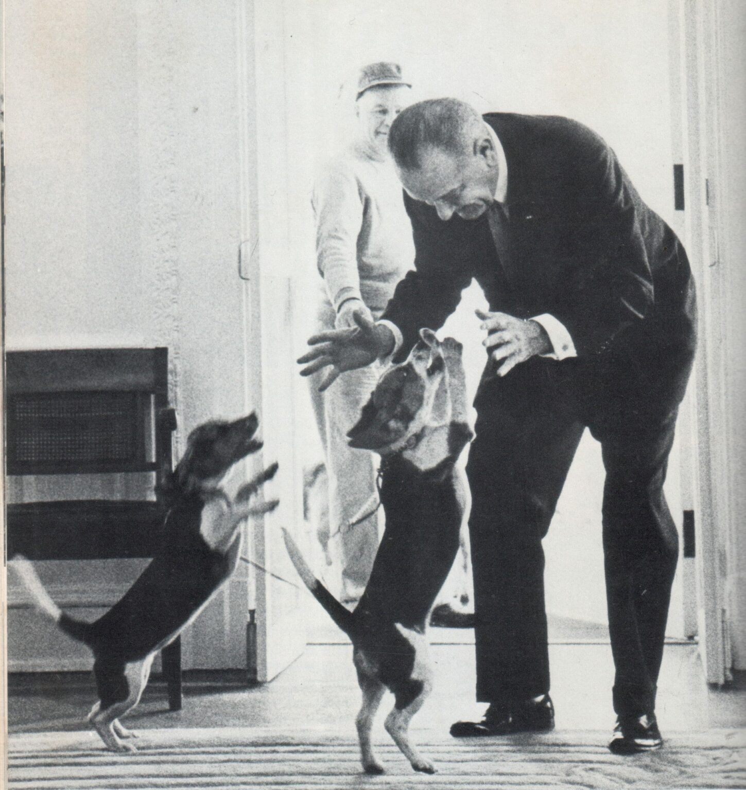 The Tragic Story of President Johnson's Pet Beagle Run Over by the ...
