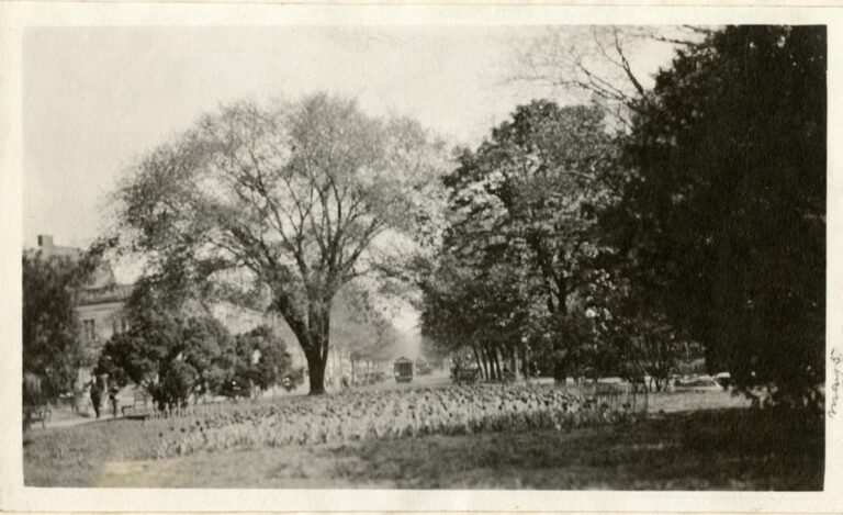 Looking Back in Time: A Glimpse of Farragut Square in 1919 through ...