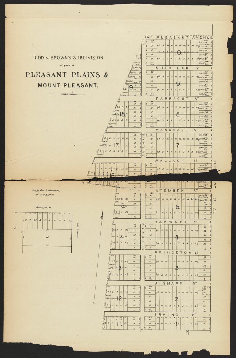 23 Detailed Maps of Washington, D.C. in 1874