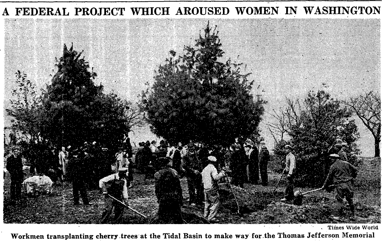 The Cherry Tree Rebellion: How Jefferson's Memorial Spurred a Revolt