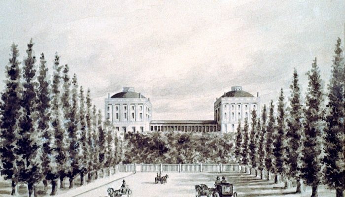 A Rare Glimpse into the Early 19th Century: A Painting of the Capitol ...
