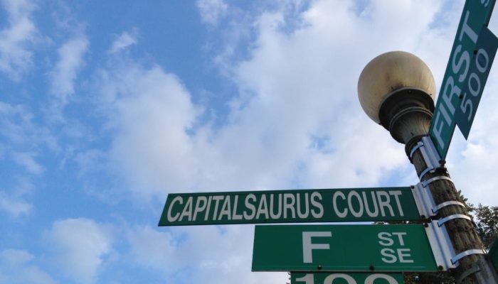 Unearthing the Mysterious Origins of D.C.'s Official Dinosaur ...