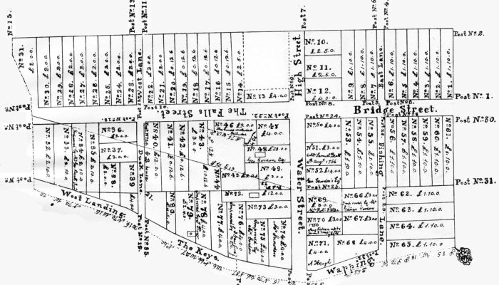 Two Incredible Old Maps of Georgetown
