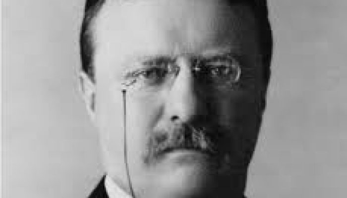 Watching Teddy Roosevelt's Inauguration in 1905 - A Fascinating Look ...